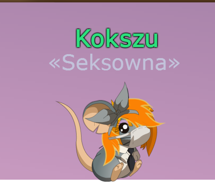 Transformice Myszki *.*: Top model