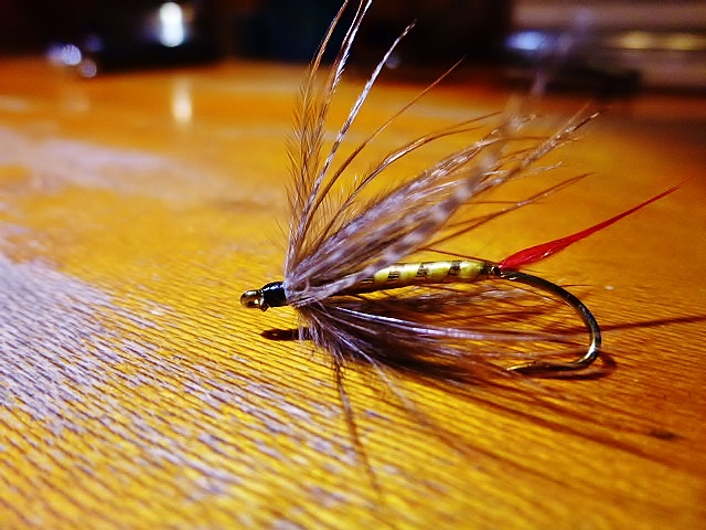 SOFT~HACKLE JOURNAL: Spey-Inspired Trout Flies