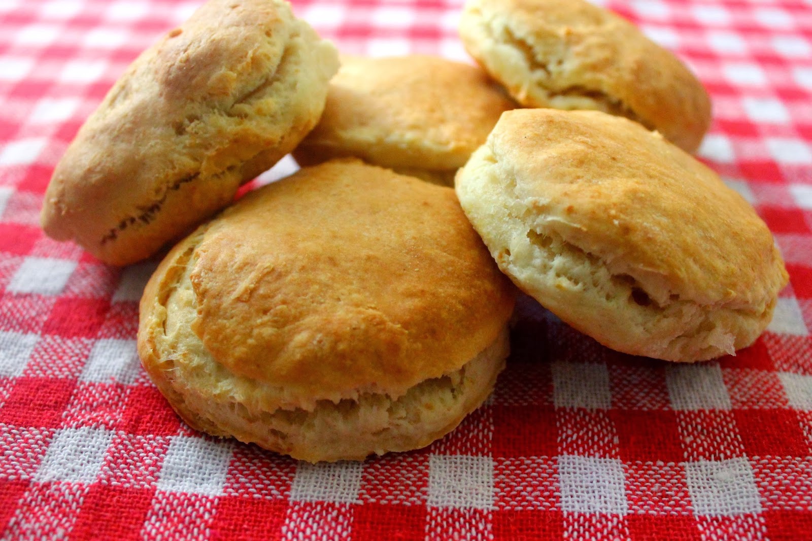 İLOJİ: KFC BISCUITS