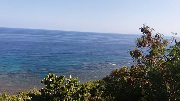 Julie's Thoughts and Travels: Vista Minmar