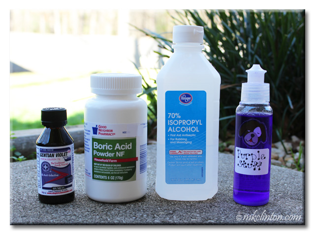 Barking from the Bayou