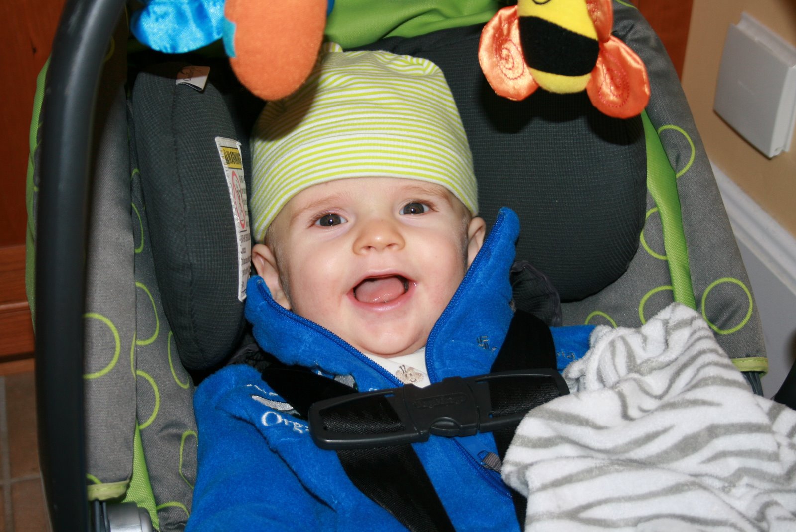 North Country Babies: Commando Crawling!