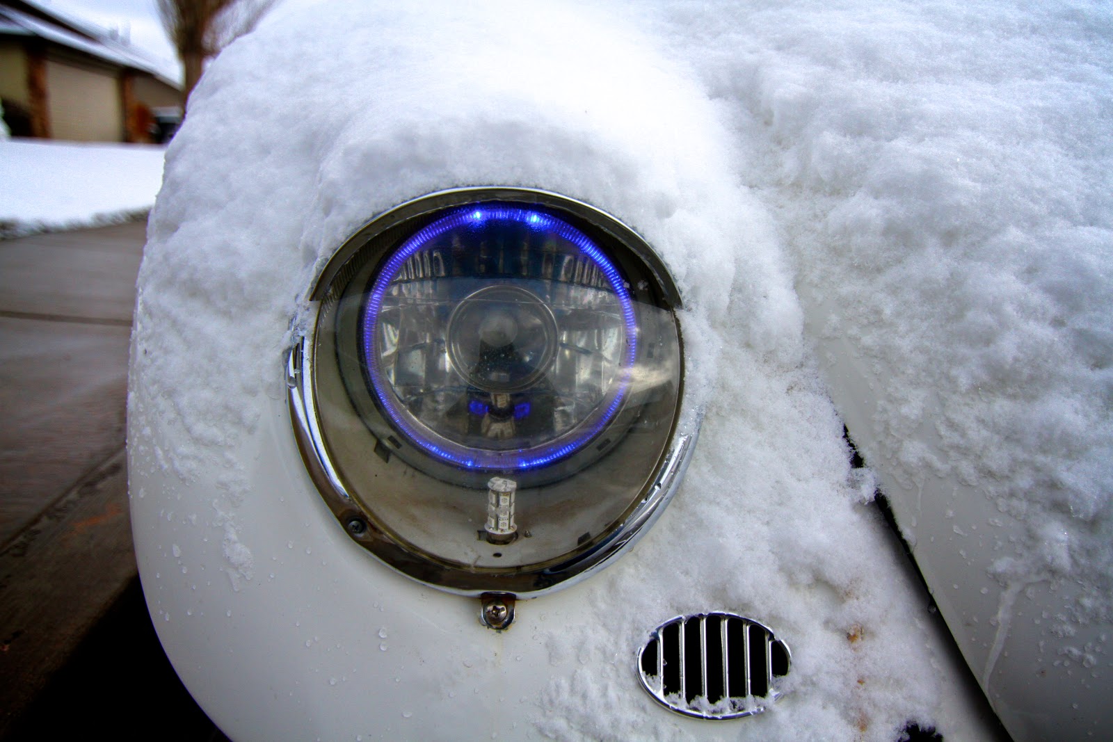 The Beetle Has Landed