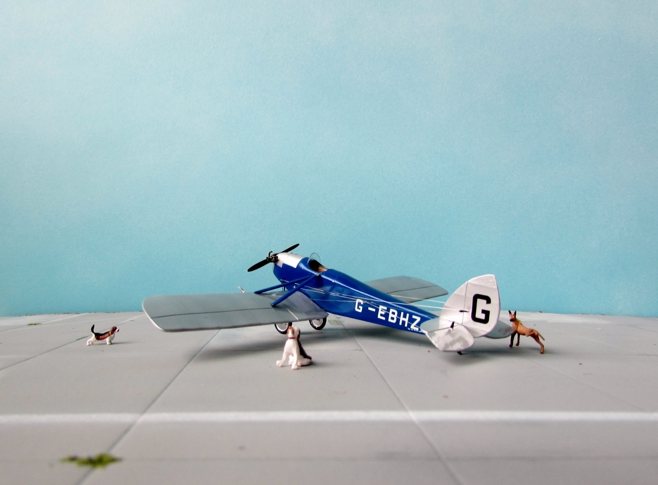 De Havilland D.H.83 Hummingbird, Scratchbuilt 1/72 - Ready for ...