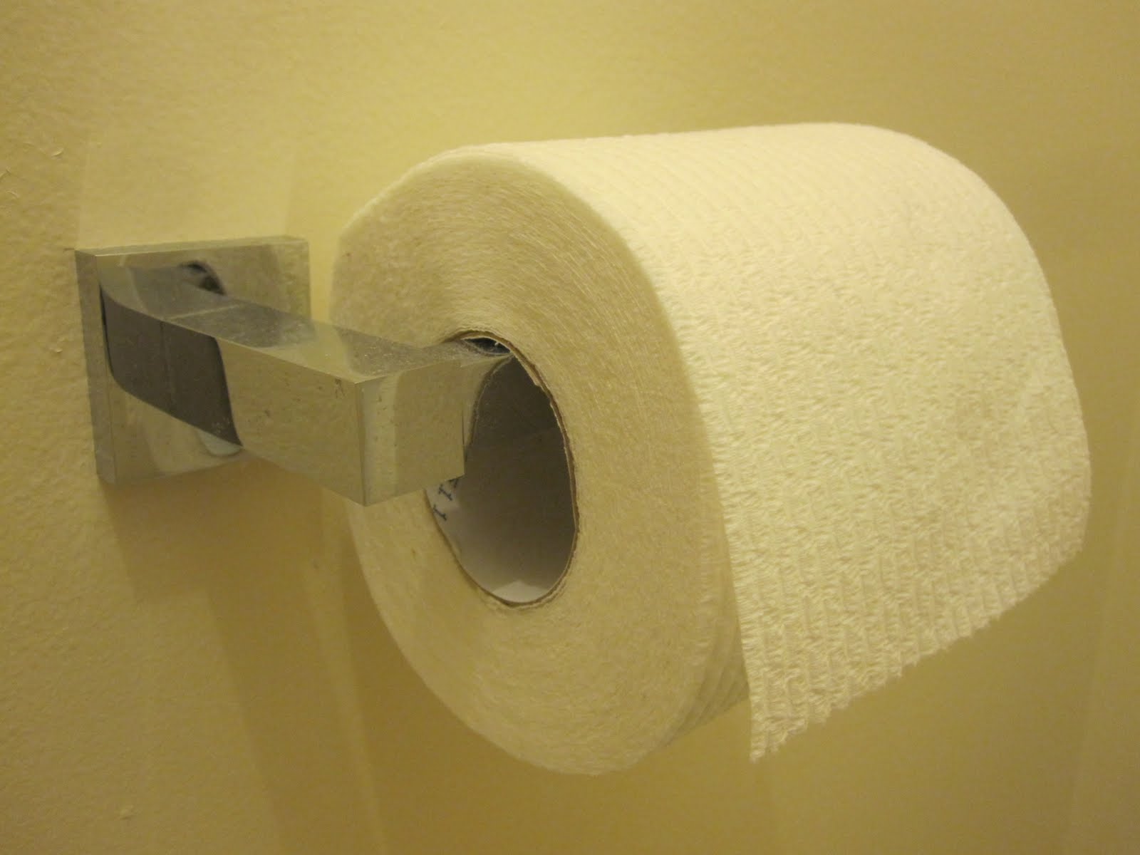 Cassadiva: Cleaning the Bathroom - Swish and Swipe