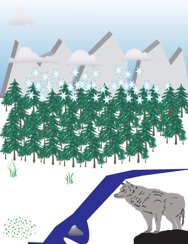 Landscape Illustrator Learning Landscape Illustrator Learning