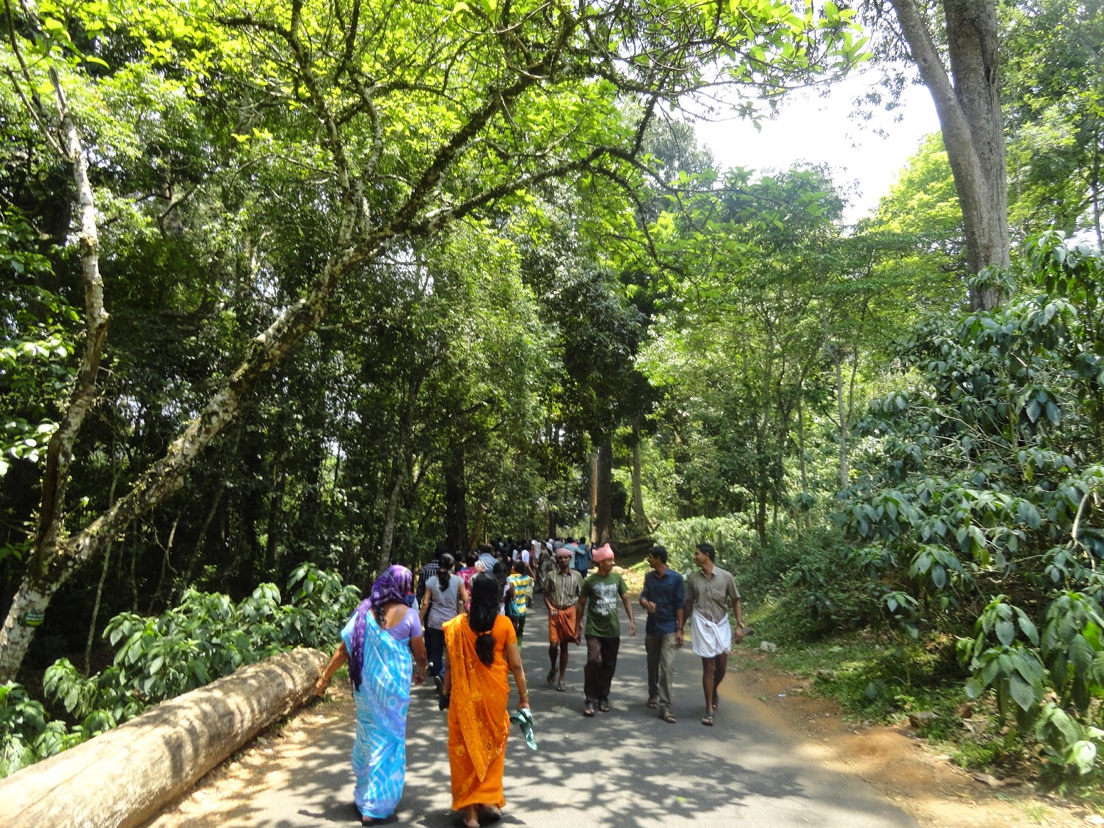 Good Rush for Thekkady Boating in Summer Season - April & May - Munnar ...