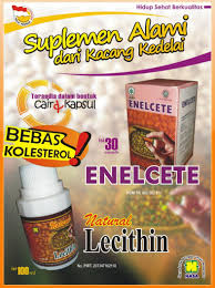 Lecithin Obat Multi Manfaat
