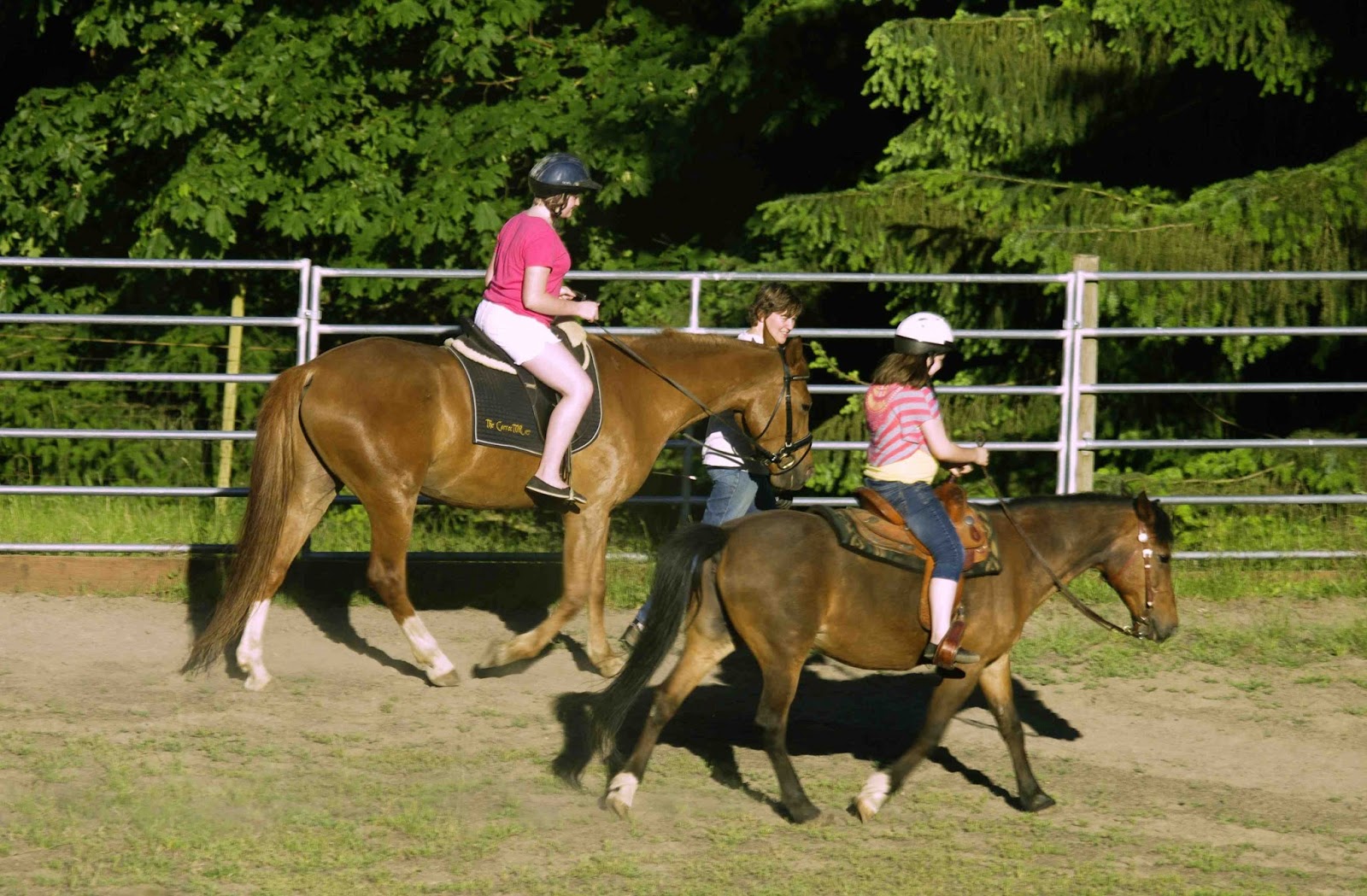 Dances With Horses: Pony rides