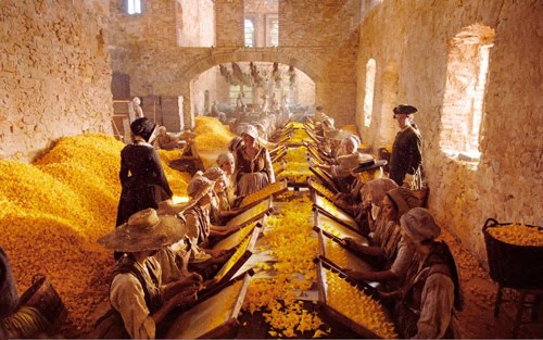 Illuminated Perfume: Jasmine Enfleurage