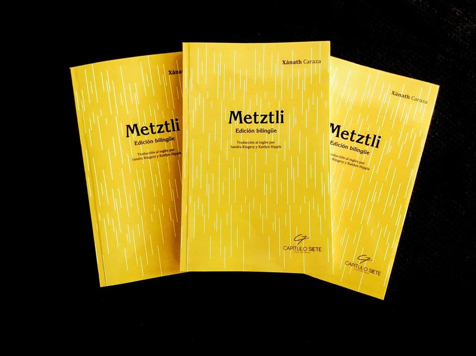 La Bloga: Book Review of 'Metztli' by Juan Mireles