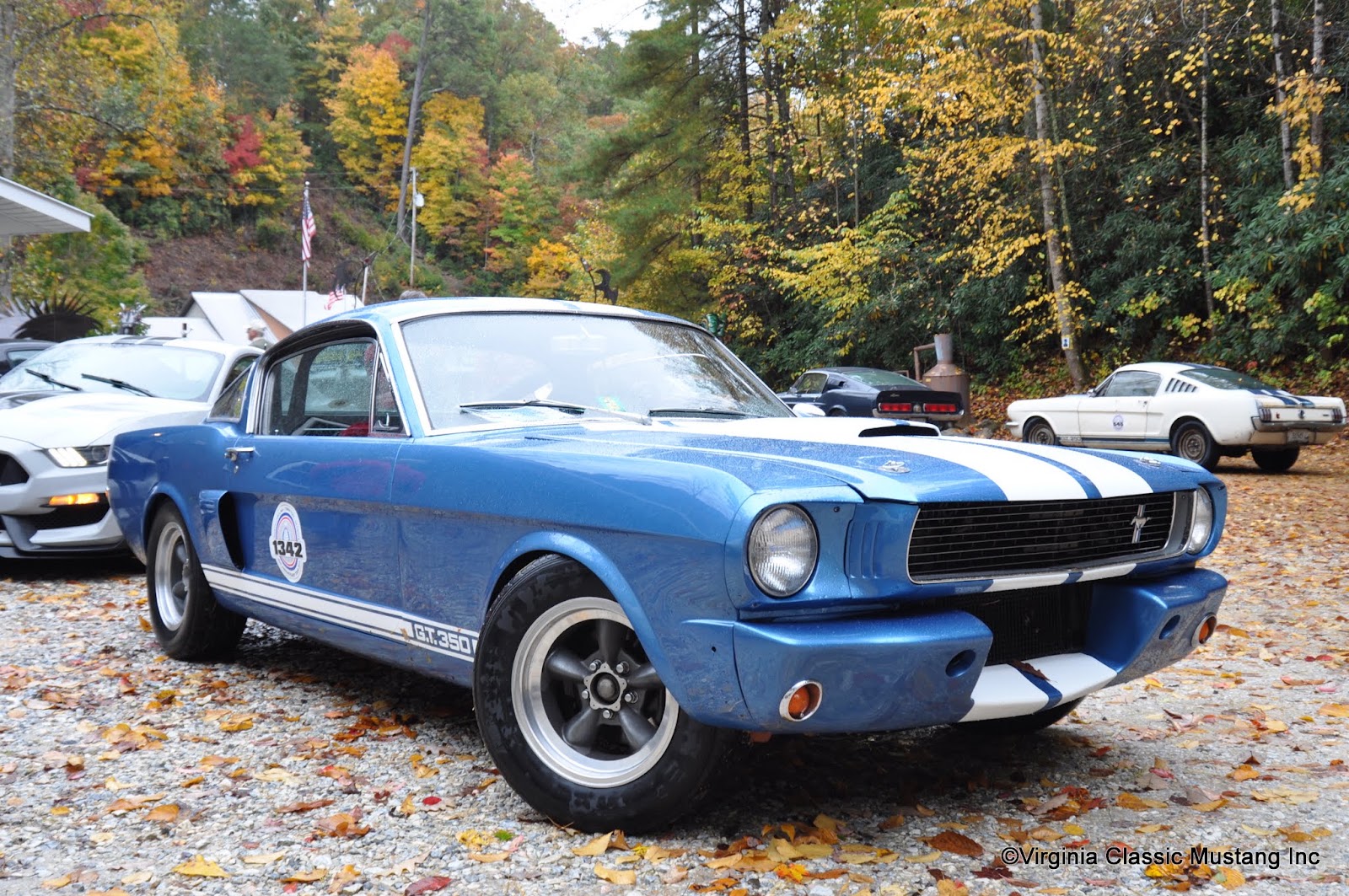 Virginia Classic Mustang Blog: 50th Anniversary GT350 Tour