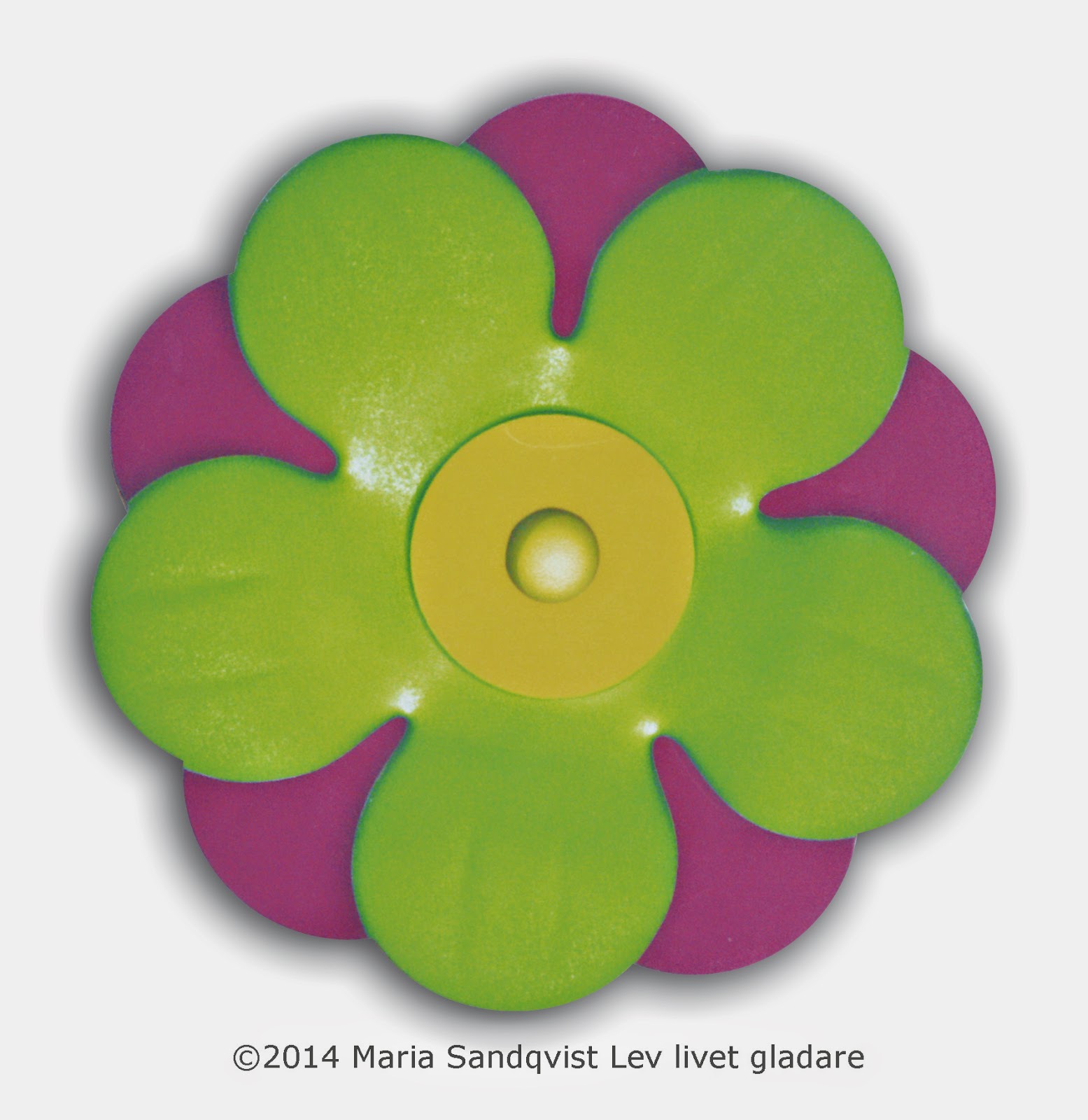 Lev livet gladare: Majblomman - Alla barns blomma