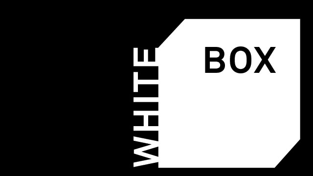 Terreform : White Box Gallery Opening