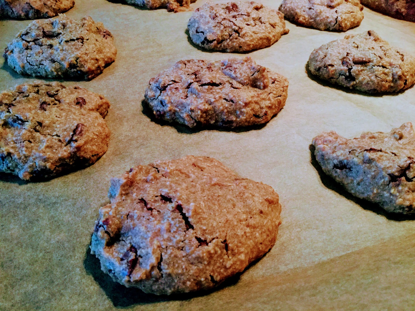 Sitkeät gluteenittomat suklaahippukeksit - Saran kotikolo