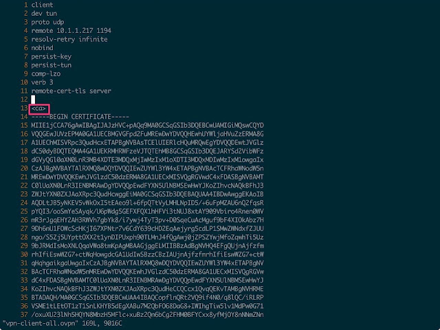 [CentOS 7] 使用 OpenVPN 實作 Client to Site VPN 連線 | IT 技術家