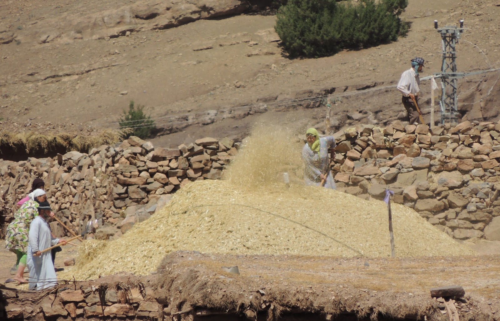 Babzy Photos Blog: Maroc : Le Vannage / Winnowing