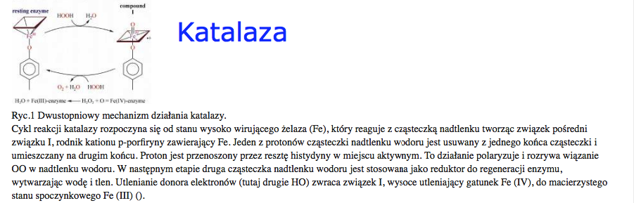 Biologia - nauka o życiu: Żelazo.