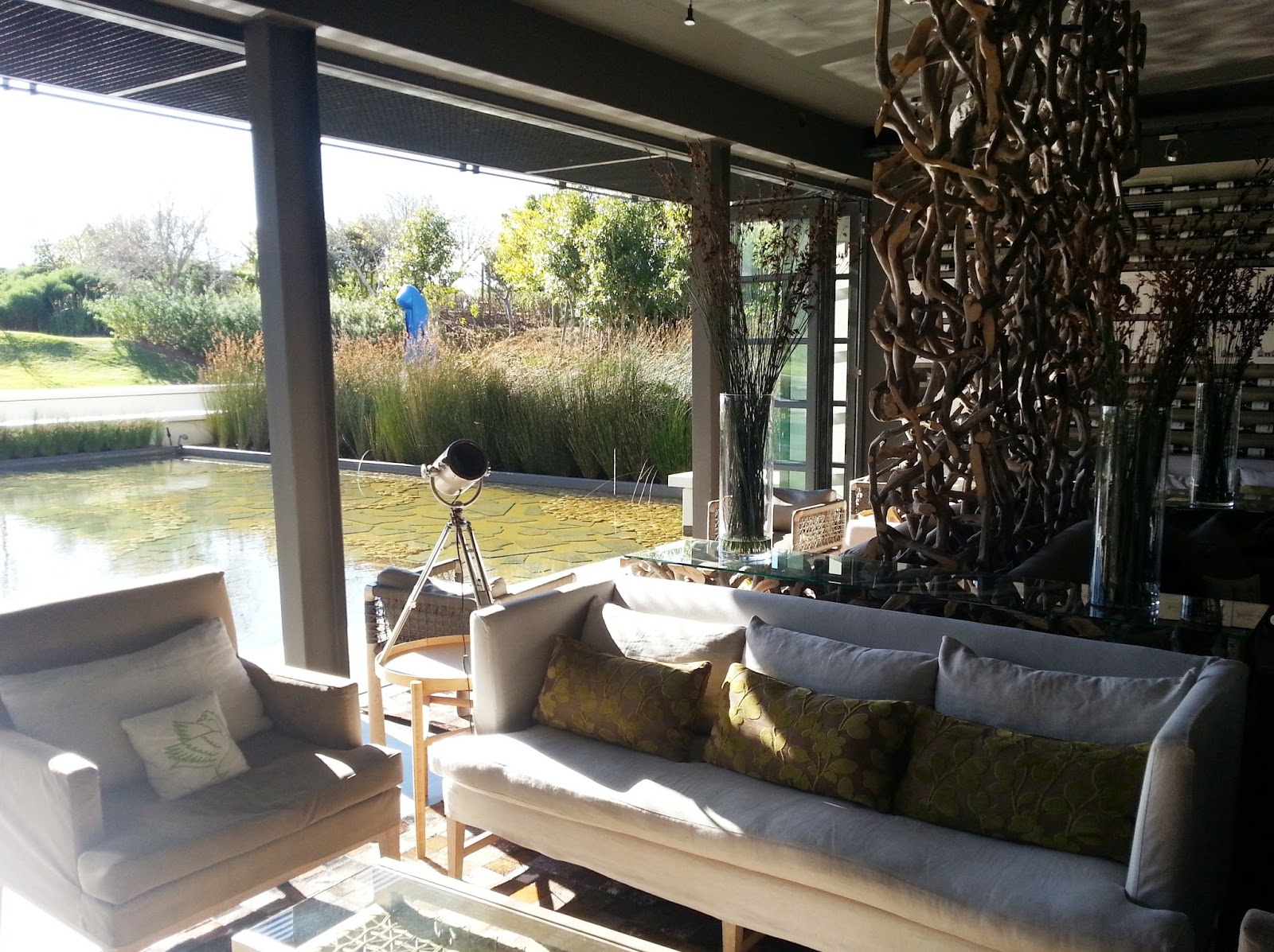 A Good Year: Steenberg Wine Farm, Constantia