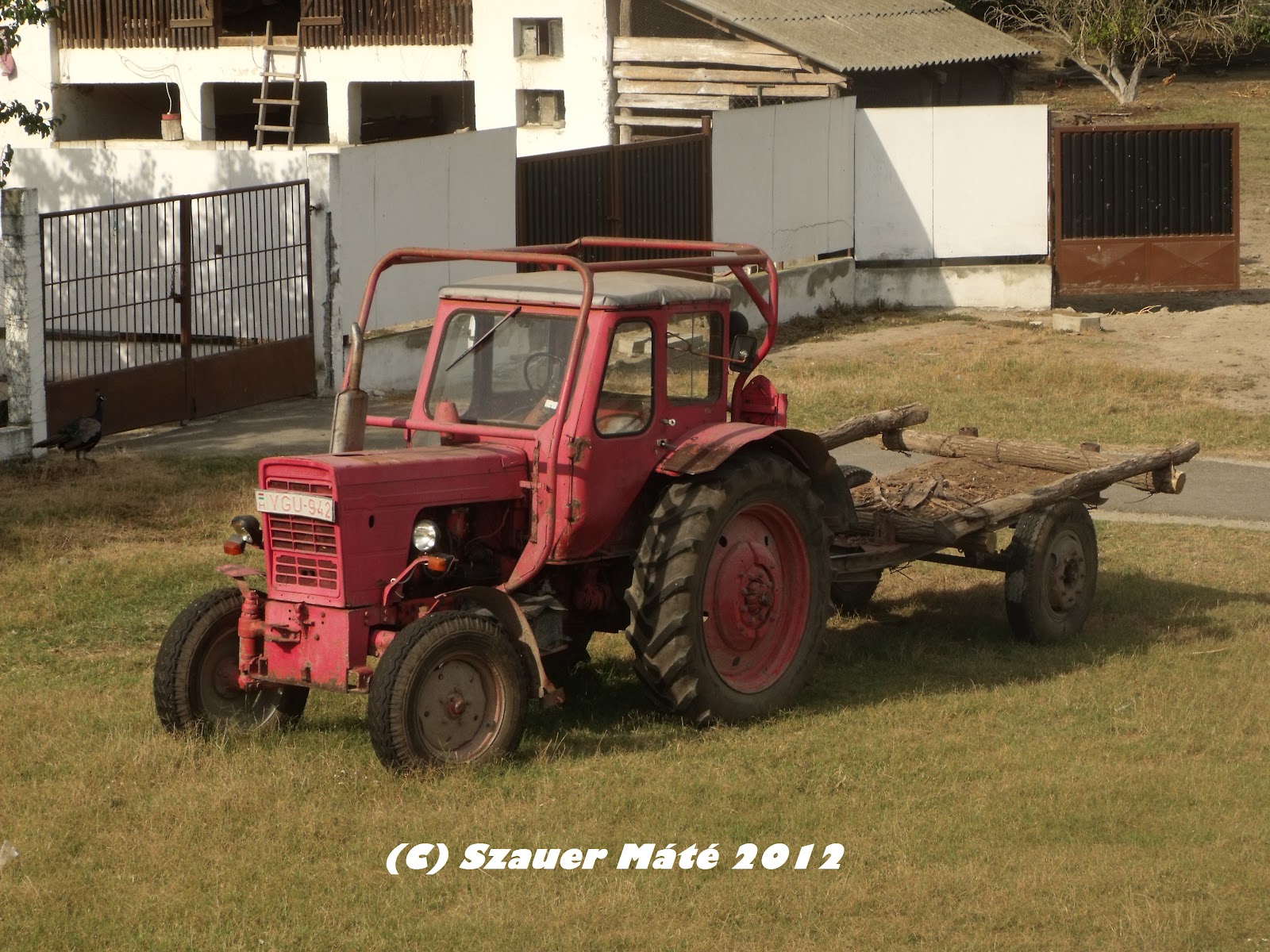 ..Mezőgépek..: MTZ 50 & DT 75