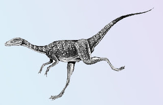Dinosaur info: Compsognathus