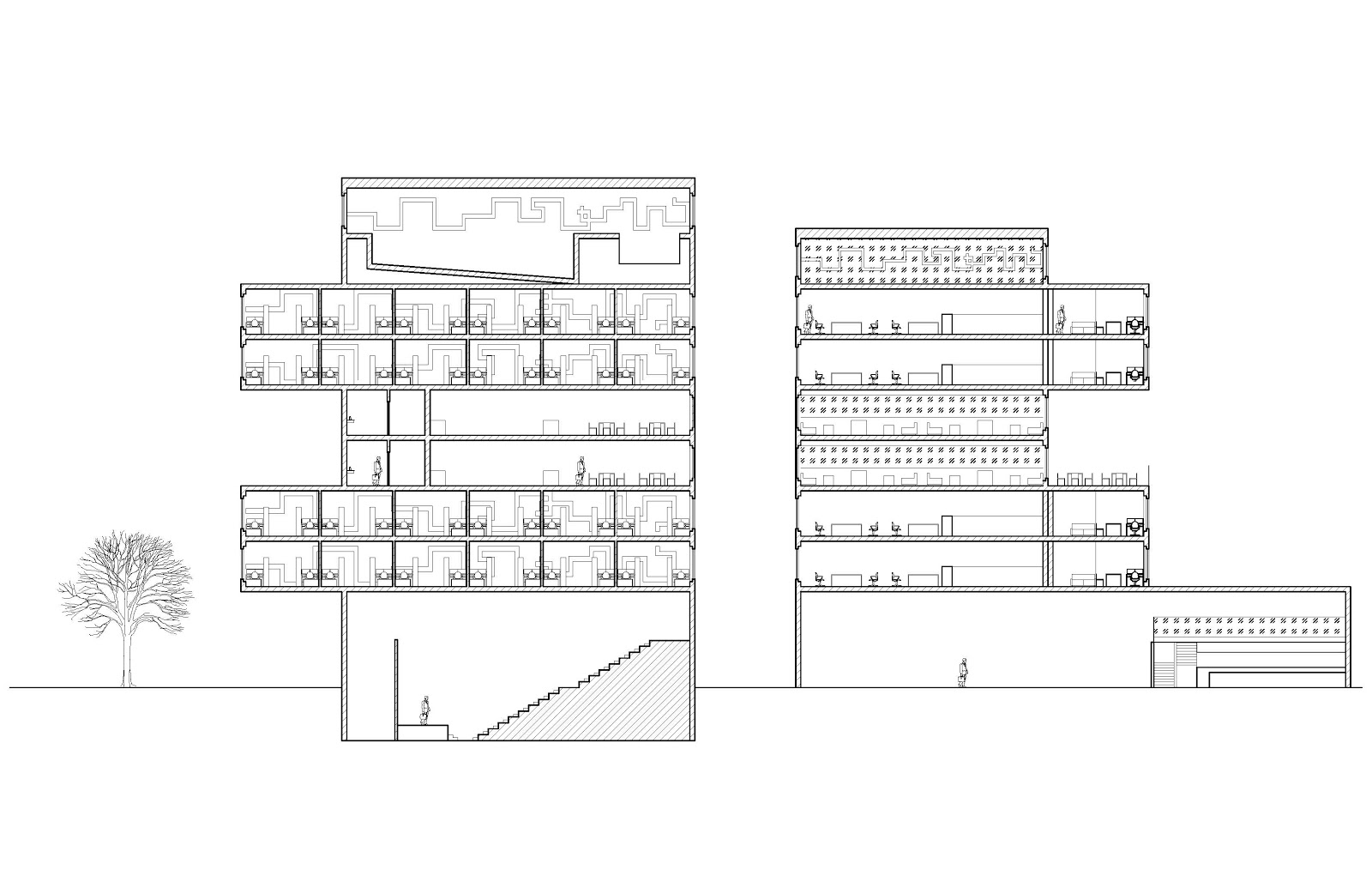 ARCH3611F12TrungNguyen: Section + elevation and perspective