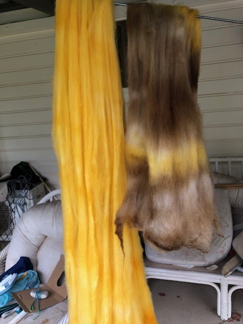 New Technique for Dyeing Wool Roving