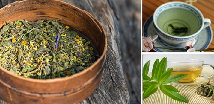 Native American Tea That Kills Cancer, Kept Secret for over 100 Years