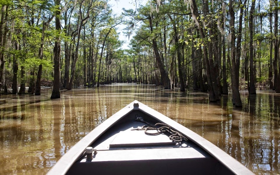 Challenging the Rhetoric : How America’s biggest swamp could become ...