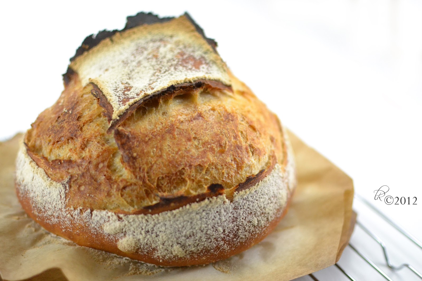 The Lucky Fox: ...and more bread