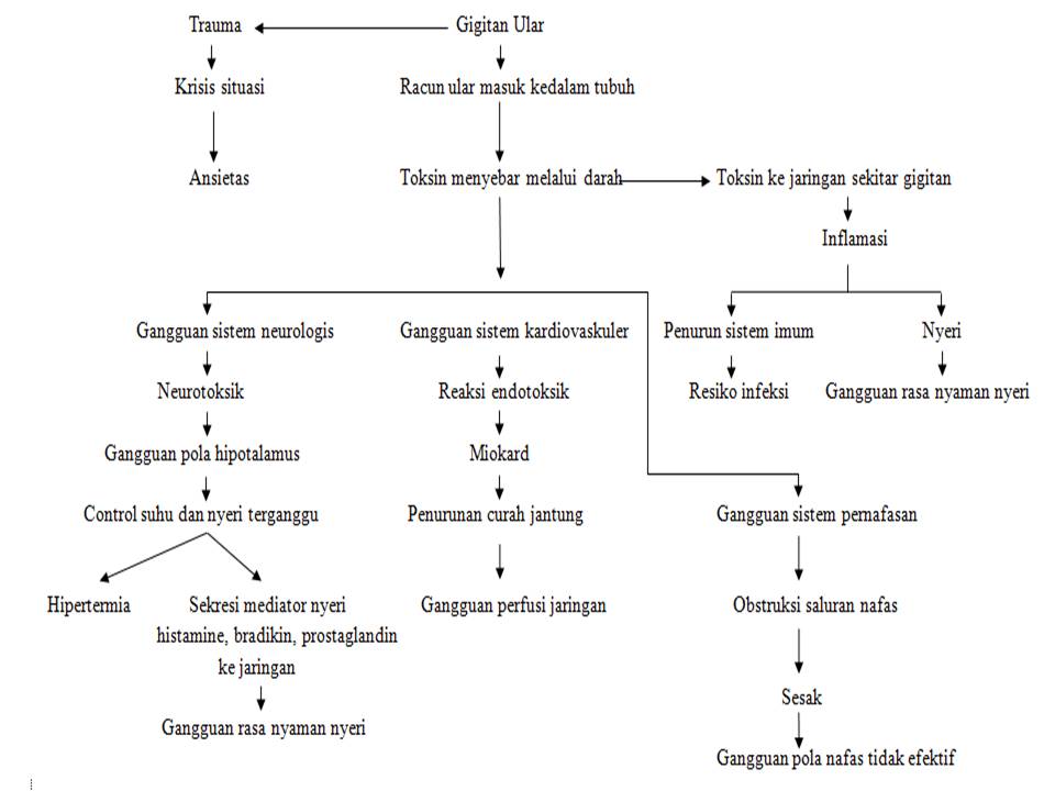 FranatoFrans. BLOGGER KEPERAWATAN : ASUHAN KEPERAWATAN SNAKE BITE
