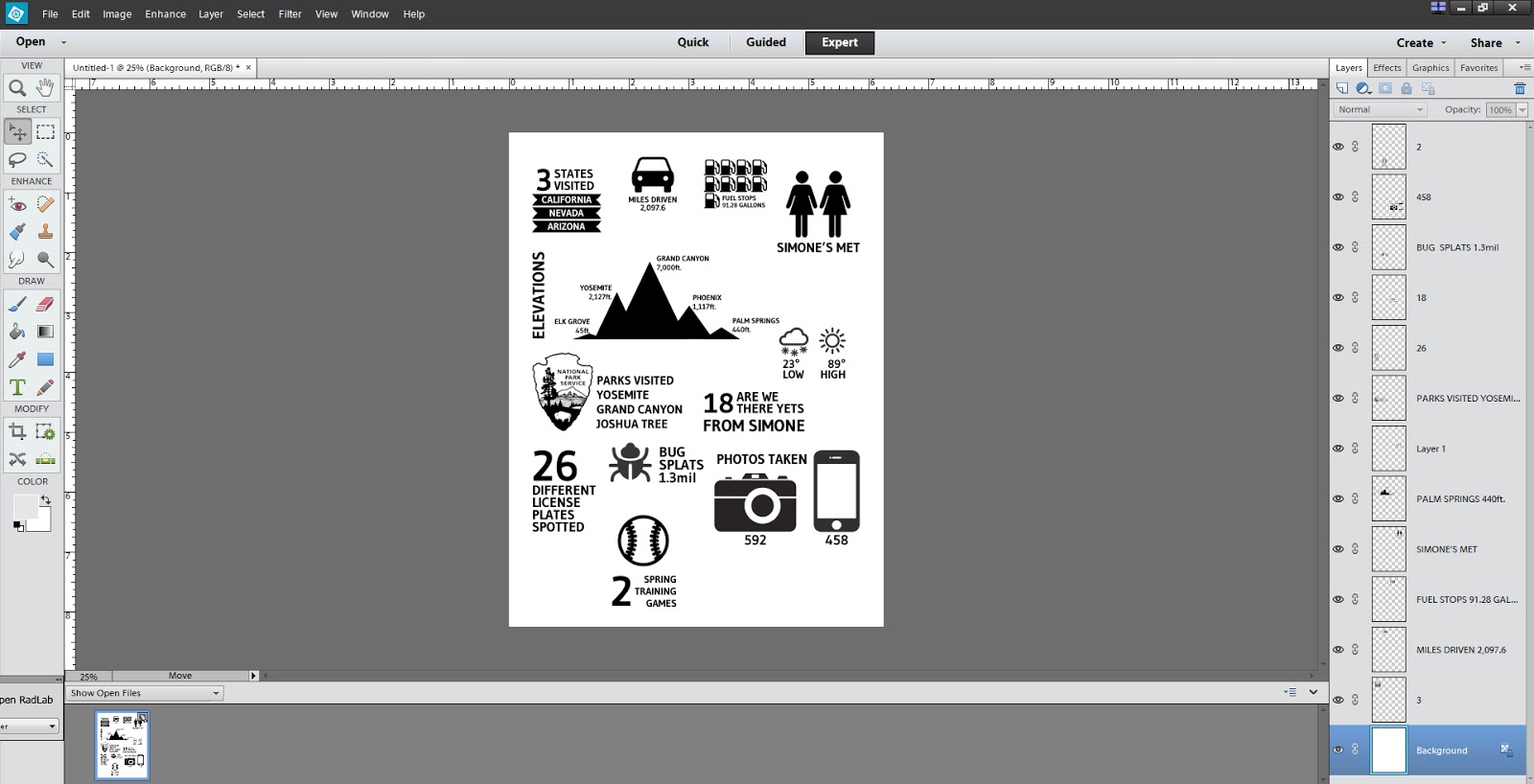 The Picinic Basket: How to make a Infographic using Photoshop Elements