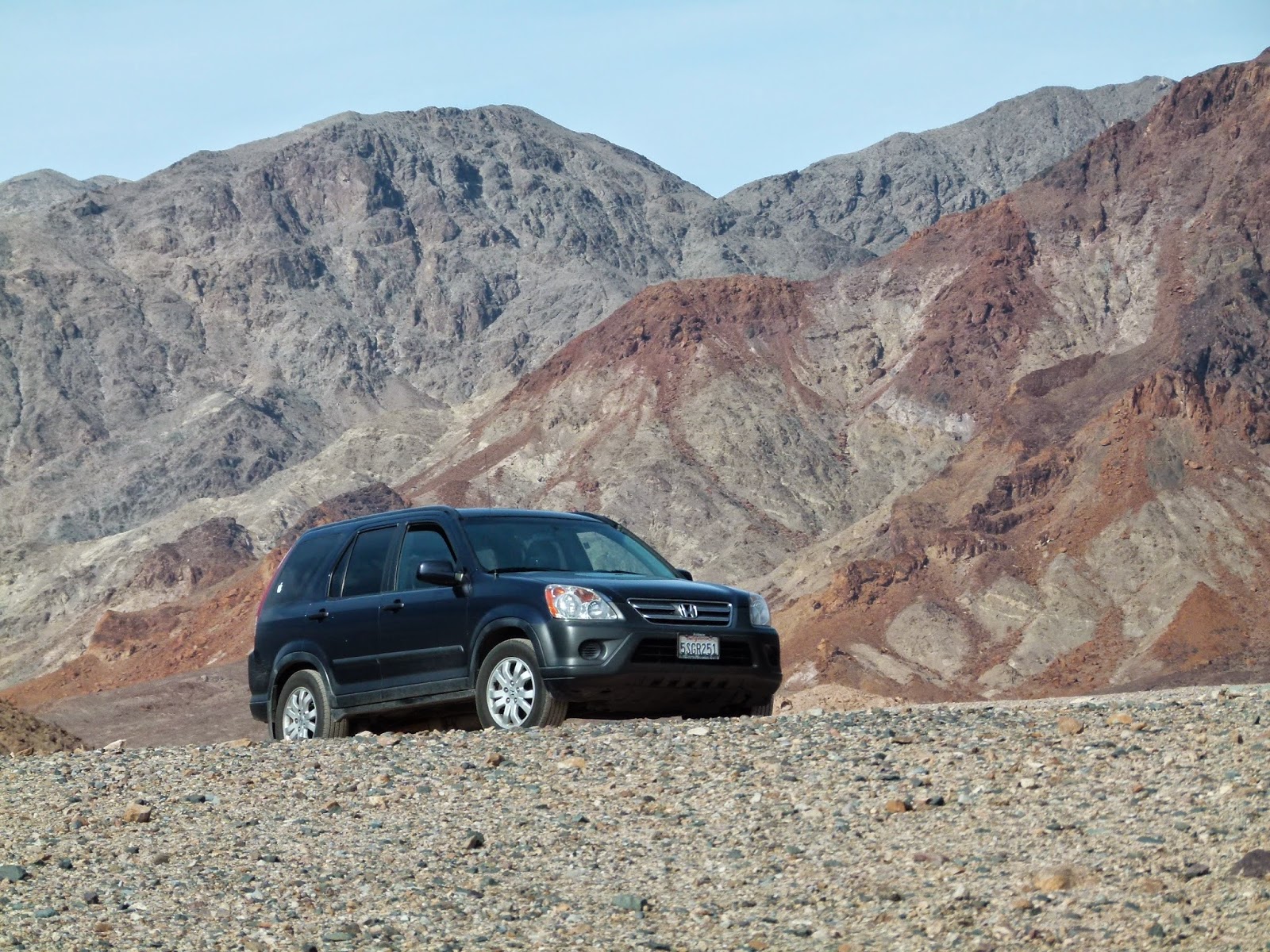 Plants, Ponderments and Perambulations: A Death Valley Dream Realized