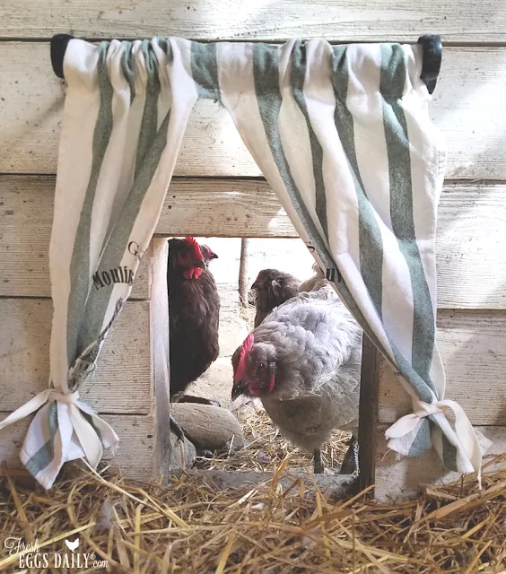 DIY Draft Drapes for your Chicken Coop - Fresh Eggs Daily® with Lisa Steele