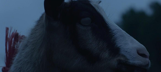 The Horror Club: VOD Review: Radius (2017)