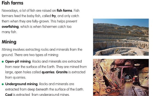 science3ceipvillalpando: The Primary sector: fishing and mining