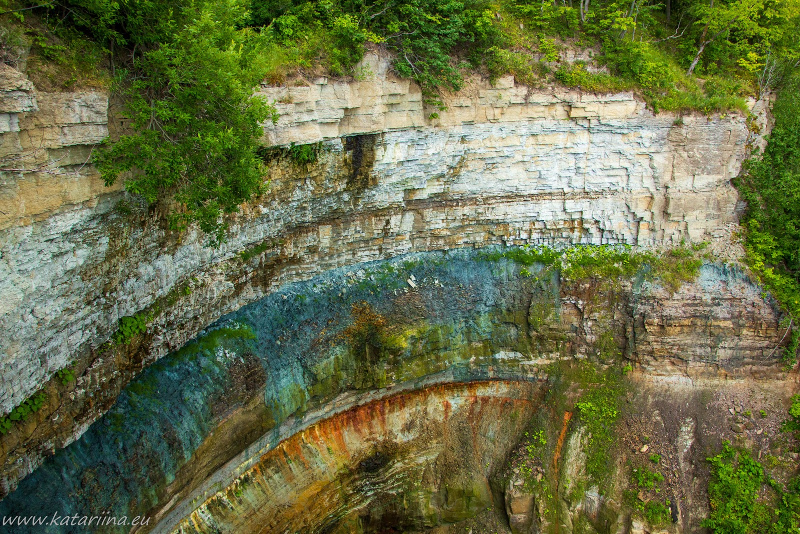 Katariina kudugurmee: Ontika pankrannik.