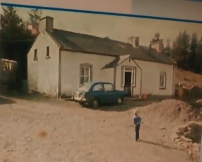 Mary Boyle Questions