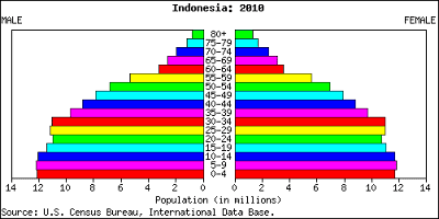 Indonesia: Demographics of Indonesia