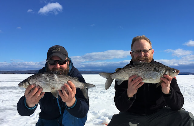 The Adventures and Musing of Drew Price, Angler: Vermont Master Angler ...