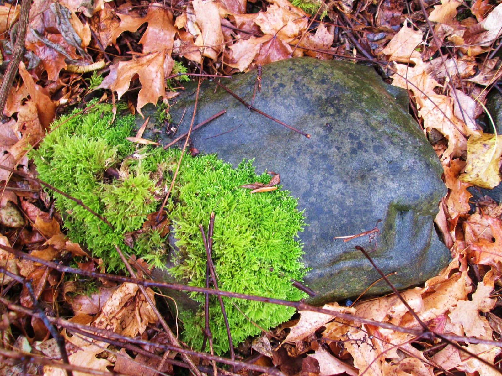 the BUTT'RY and BOOK'RY: STONES~ROCK!! ;-)