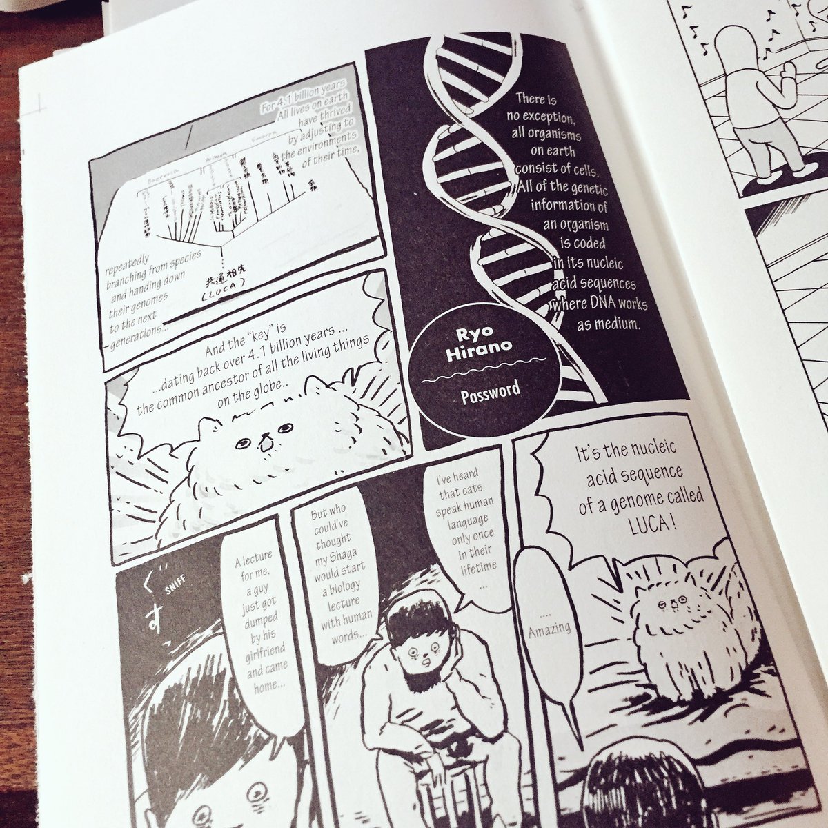 WeAreComplicated: Alternative Manga & Gekiga: Recommendations (Updated ...