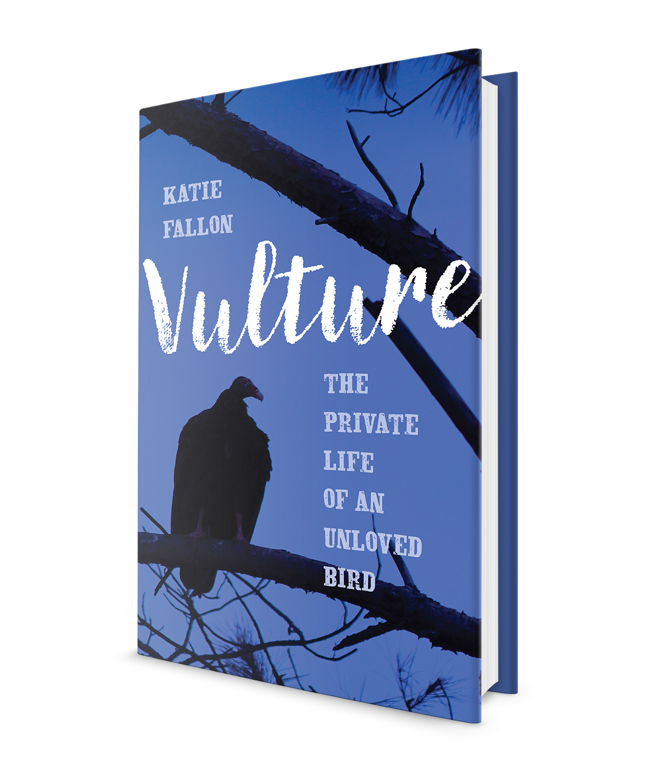 UPNE Blog: A Short Primer on Our Spring '17 Books