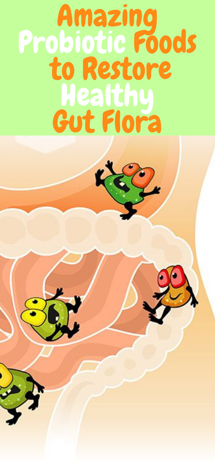 Run Healthy Lifestyle: Amazing Probiotic Foods to Restore Healthy Gut Flora