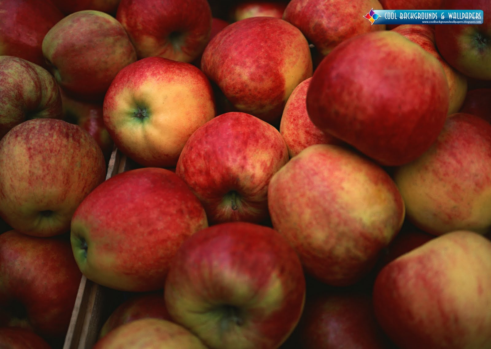 QQ Wallpapers: Fresh Apples HD Wallpaper