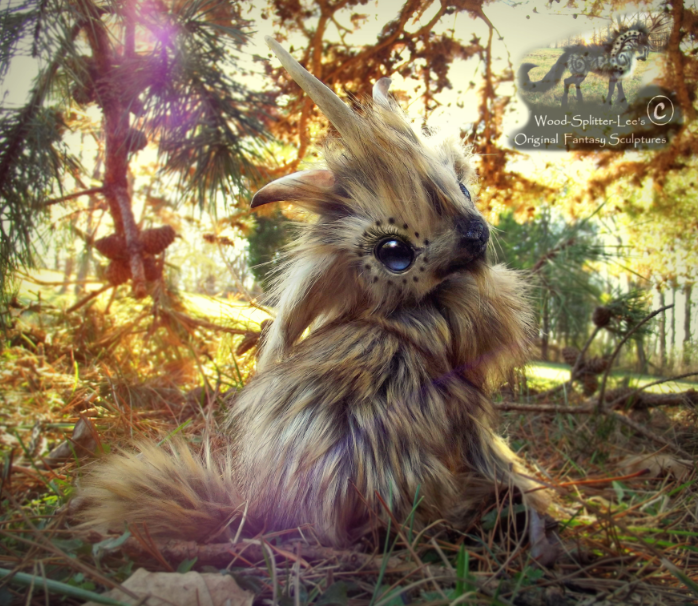 Il Rifugio degli Elfi: novembre 2015