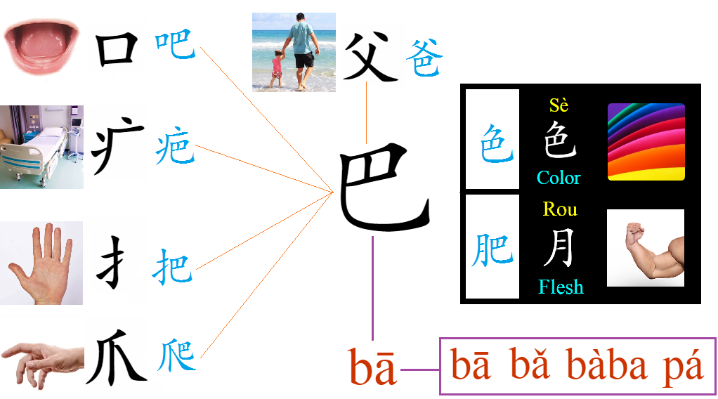 每日中文 Daily Zhongwen: 8 Chinese Characters containing 巴 【HSK 1-6】