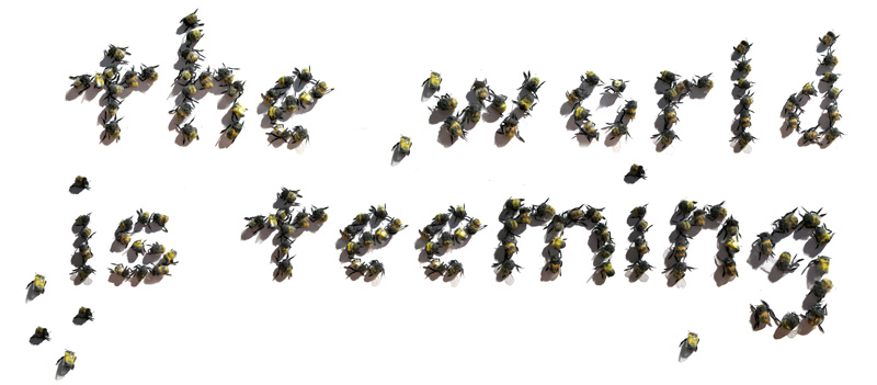 The World Is Teeming