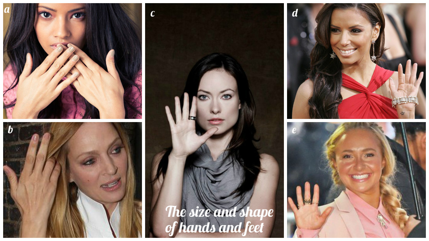 Inblook: Тест Кибби с иллюстрациями. Как определить свой типаж внешности.