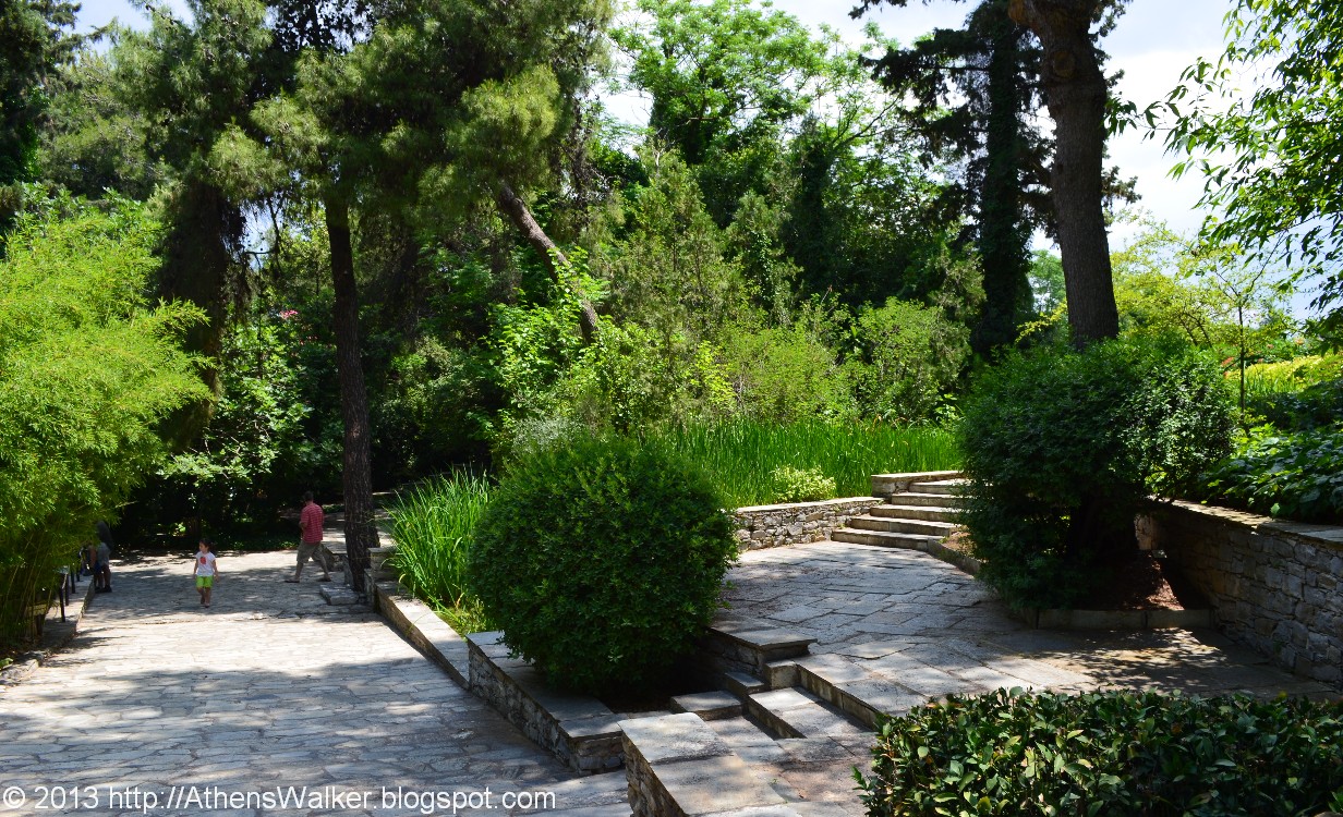 Athens Walker: Diomedes Botanic Garden: a jewel of a garden west of Athens